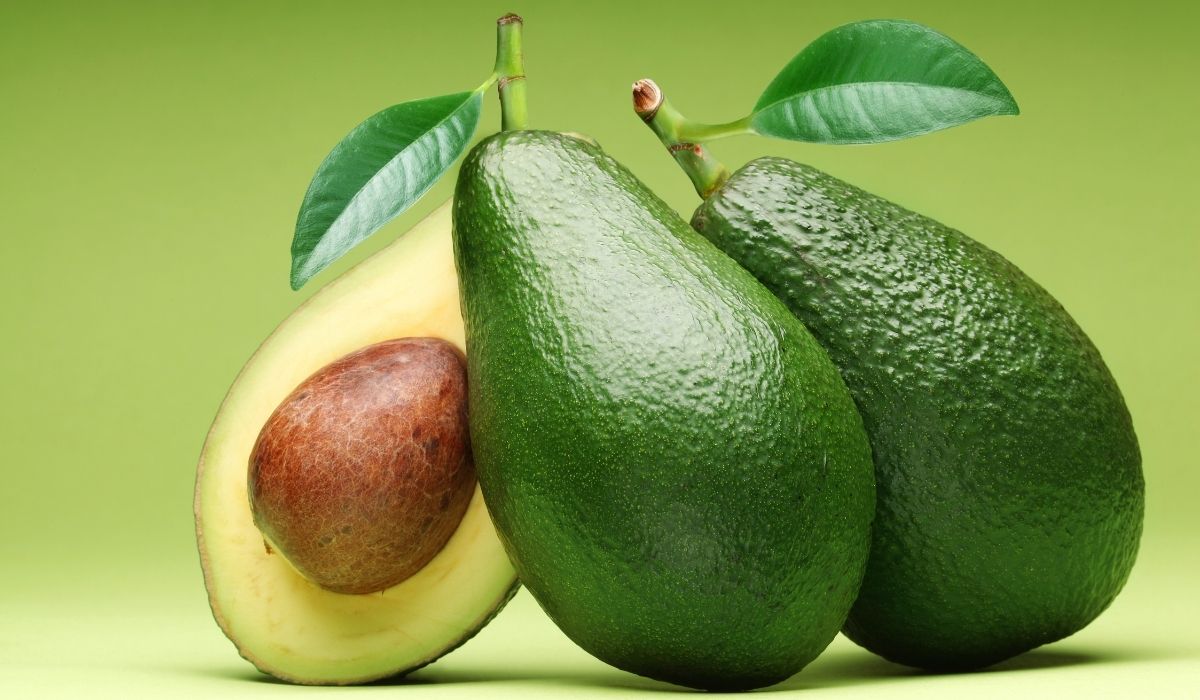 Avokaado - Kõik kasulikud omadused mida igaüks peaks teadma!