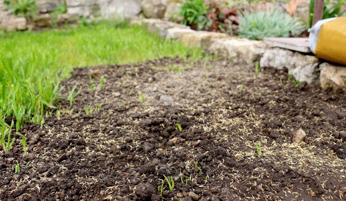 Muru külvamine - infoViking