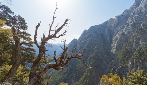 Kreeta vaatamisväärsused: 11 paika Kreeka suurimal saarel - infoViking