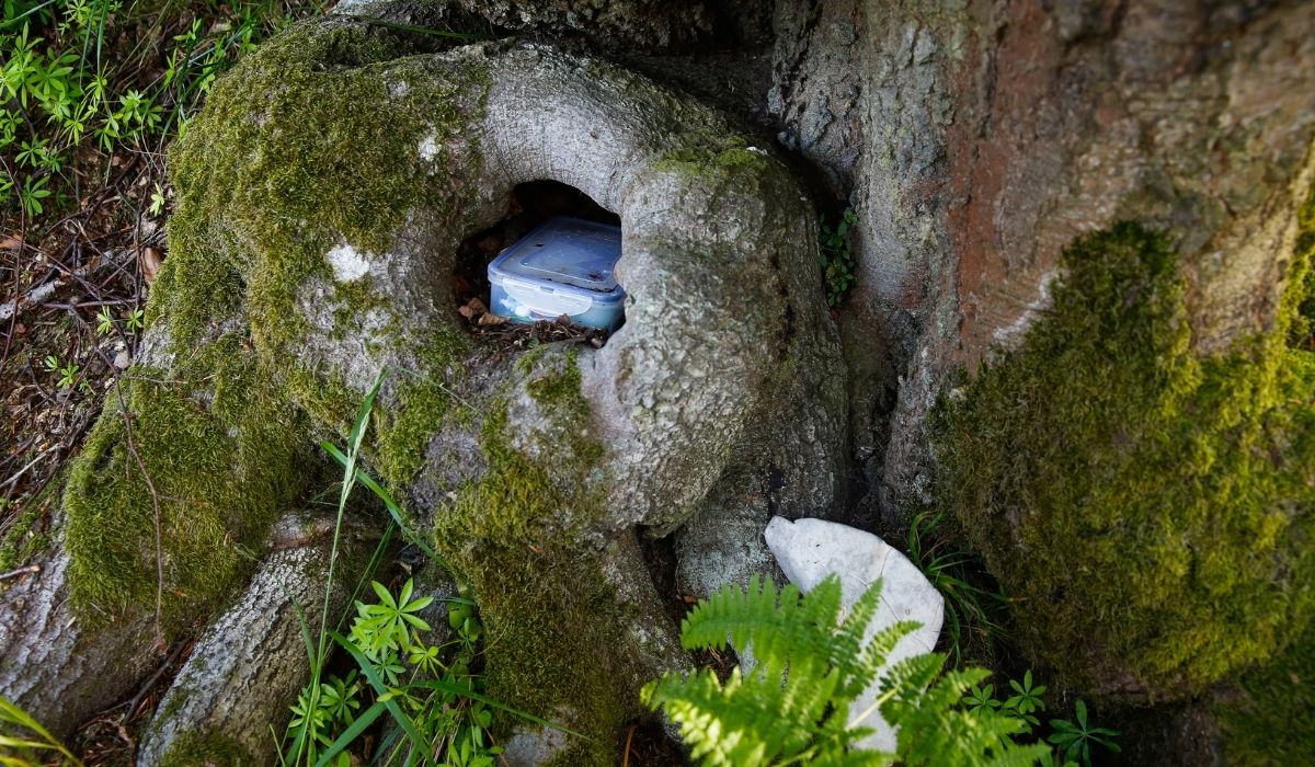 Geopeitus - pöörane ja seiklusrohke aaretejaht