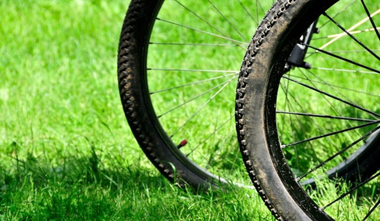 Jalgratta rehvi mõõdud - mille järgi valida? - infoViking