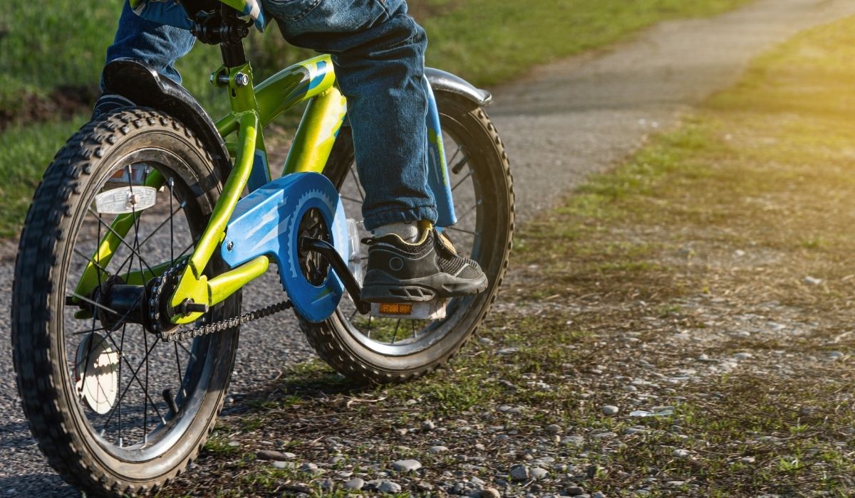 Ratta raami suurus - millega arvestada? - infoViking