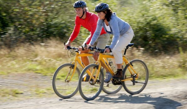 Ratta raami suurus - millega arvestada? - infoViking