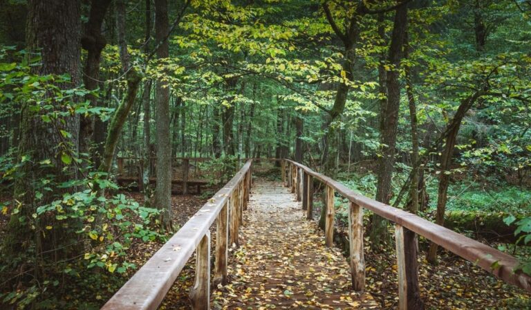 Poola vaatamisväärsused: 15 põnevat kohta mida külastada!