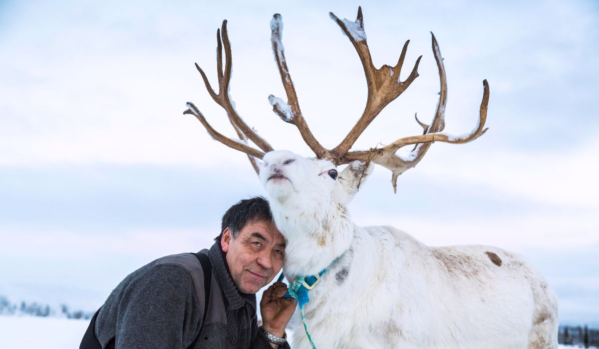 Soome vaatamisväärsused: 13 kohta, mida võiksid külastada! - infoViking