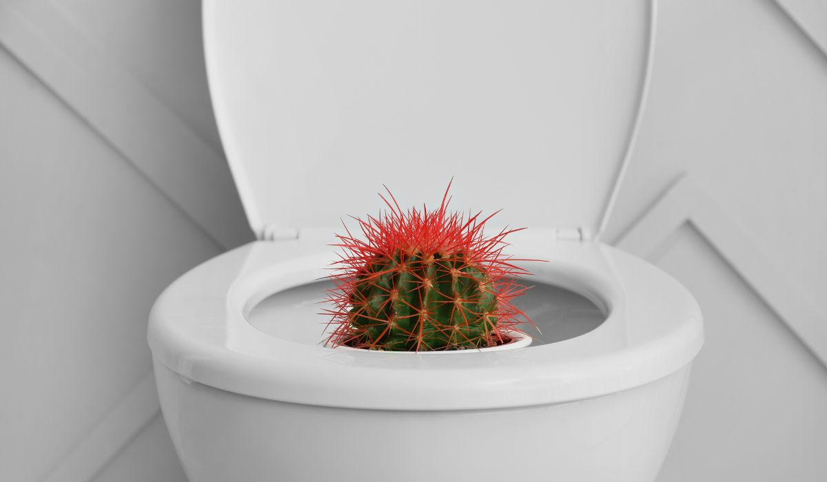 Hemorroidid: erinevad vormid, tekke põhjus ja ravi! - infoViking